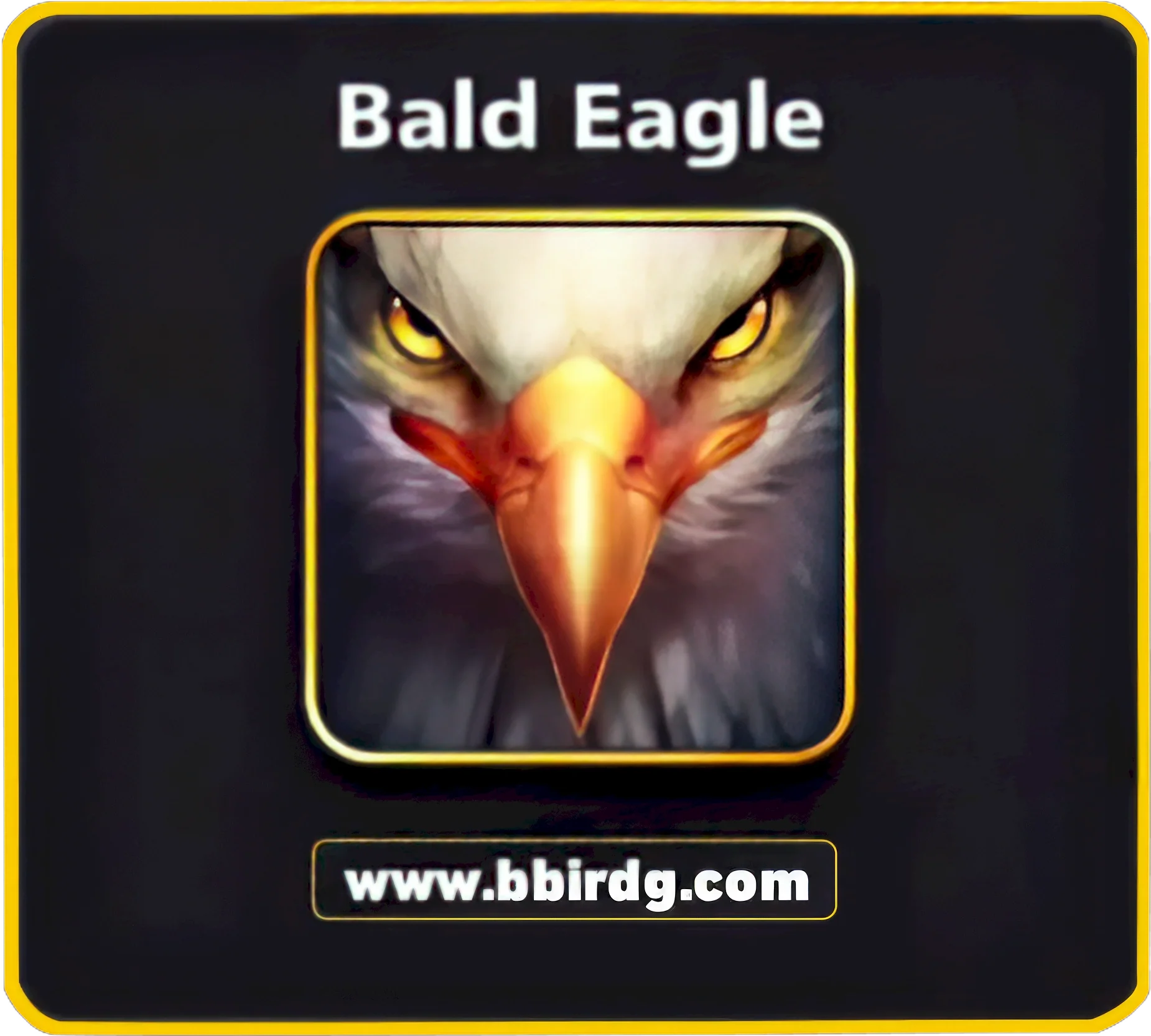 5 Avatars Bundle: Assassin, Bald Eagle, Beaming Yellow, Beast, Black V ...